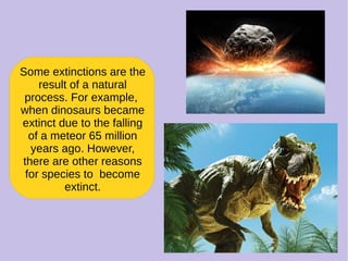 Extinction and loss of biodiversity | PDF