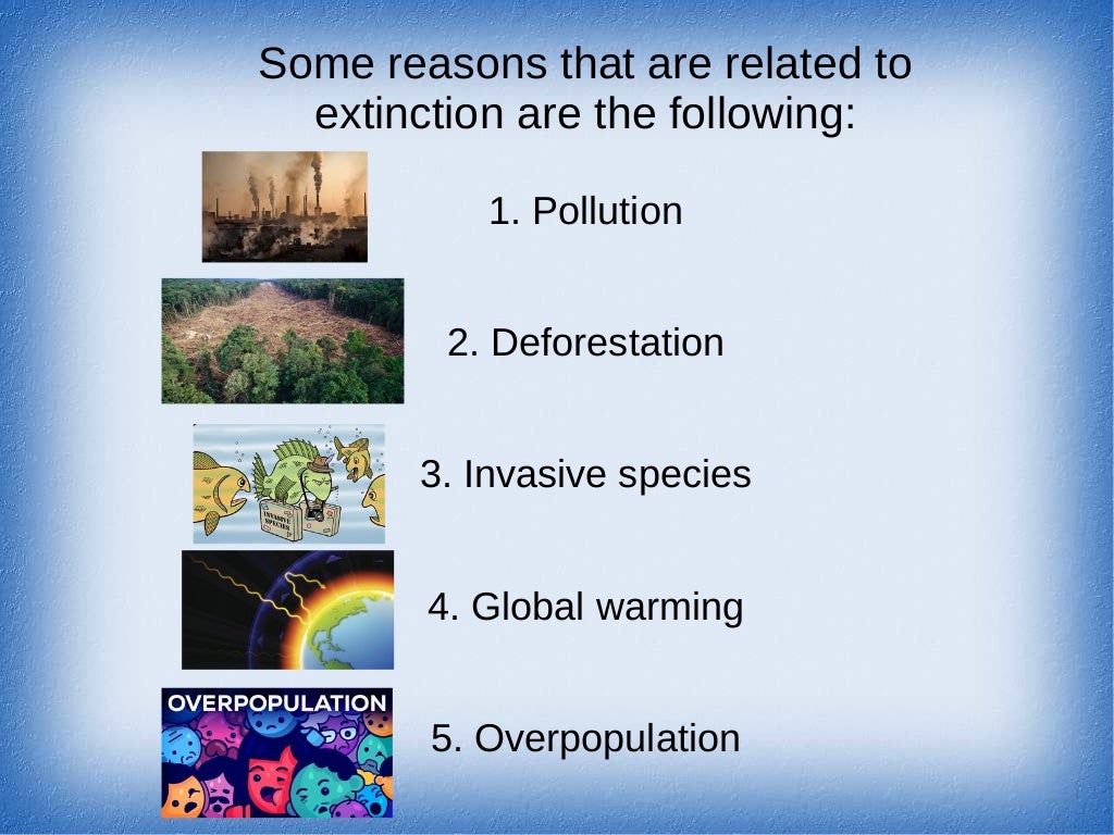Extinction and loss of biodiversity