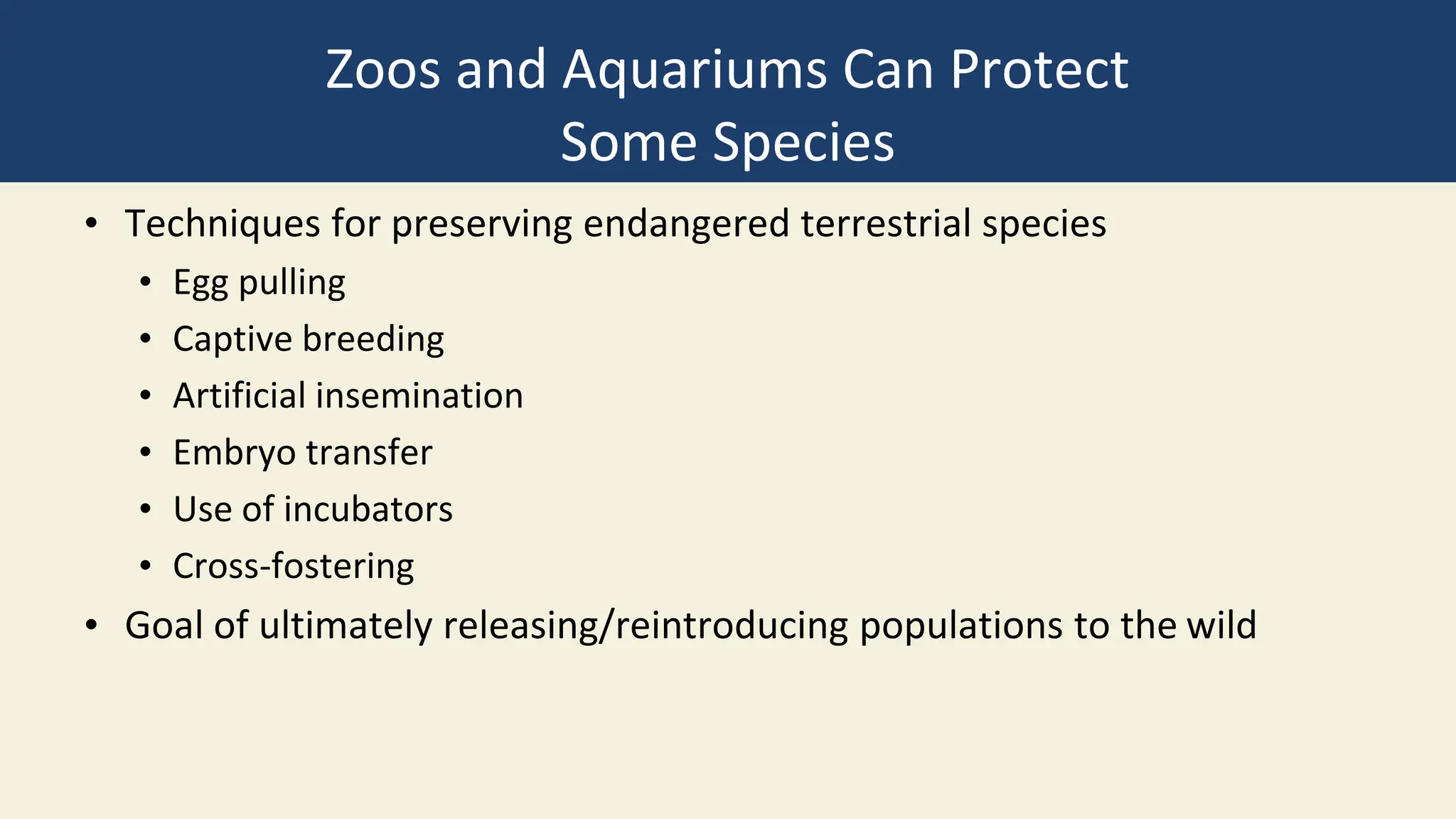 Extinction Causes And Consequences Pptx