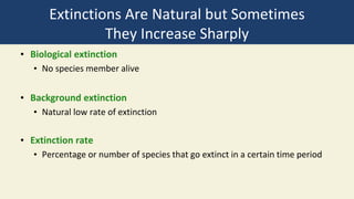 Extinction causes and consequences .pptx