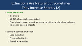 Extinction causes and consequences .pptx