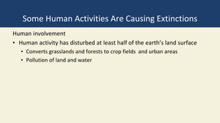 Extinction causes and consequences .pptx