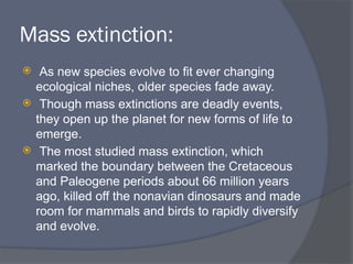 extinction of biodiversity and it's causes.pptx