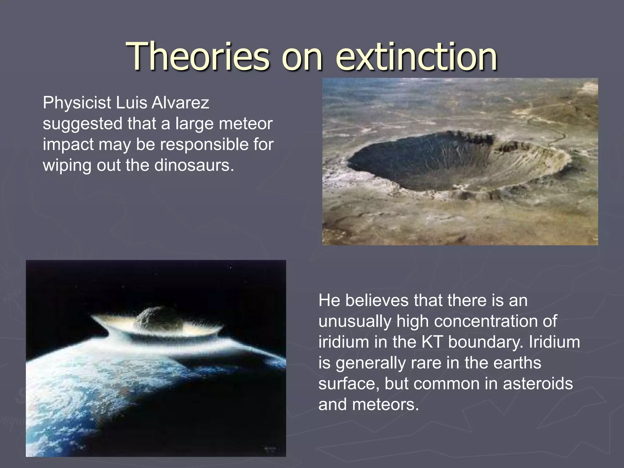 Extinction of the Dinosaurs.ppt