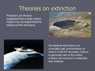 Extinction of the Dinosaurs.ppt
