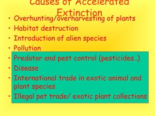 Extinction ppt student template | PPT