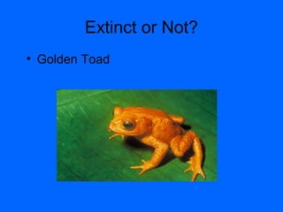 Extinct or Not? | PPT