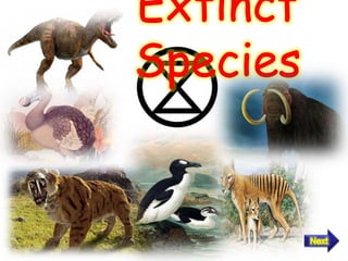 Extinct species | PPT