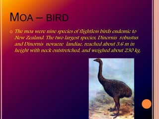 Extint species | PPTX