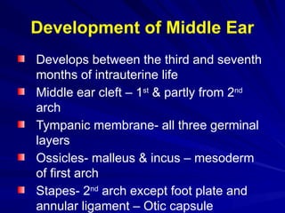 ext & middle ear anatomy.pptx ear normal | PPTX