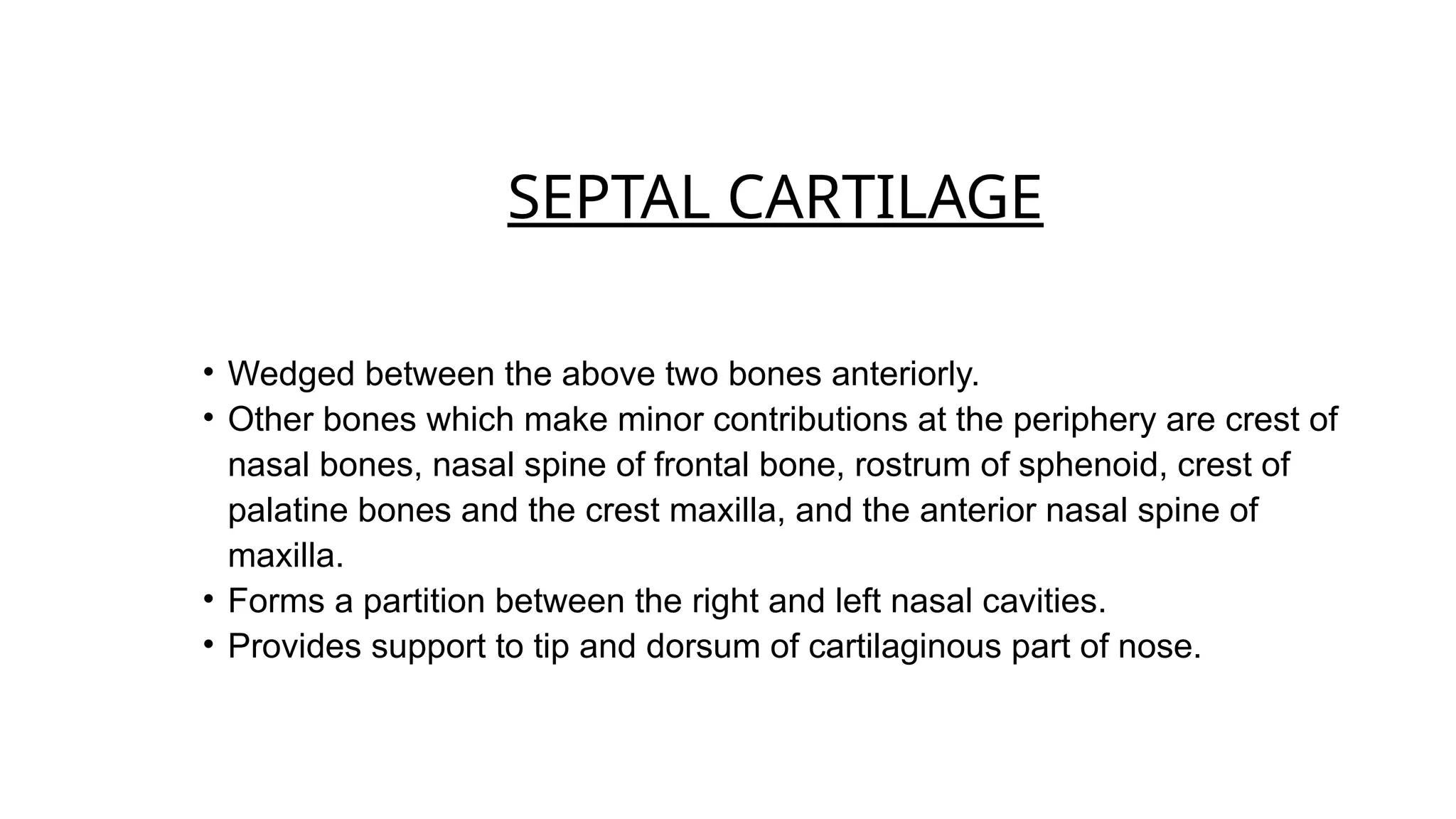 Ext nose & nasal septum with full details so that u can know | PPTX