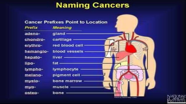 Cancer Biology: an overview | PPTX