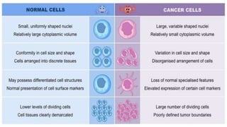 Cancer Biology: an overview | PPTX