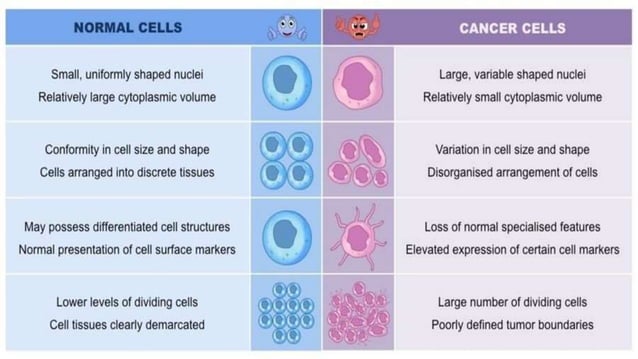 Cancer Biology: an overview | PPTX
