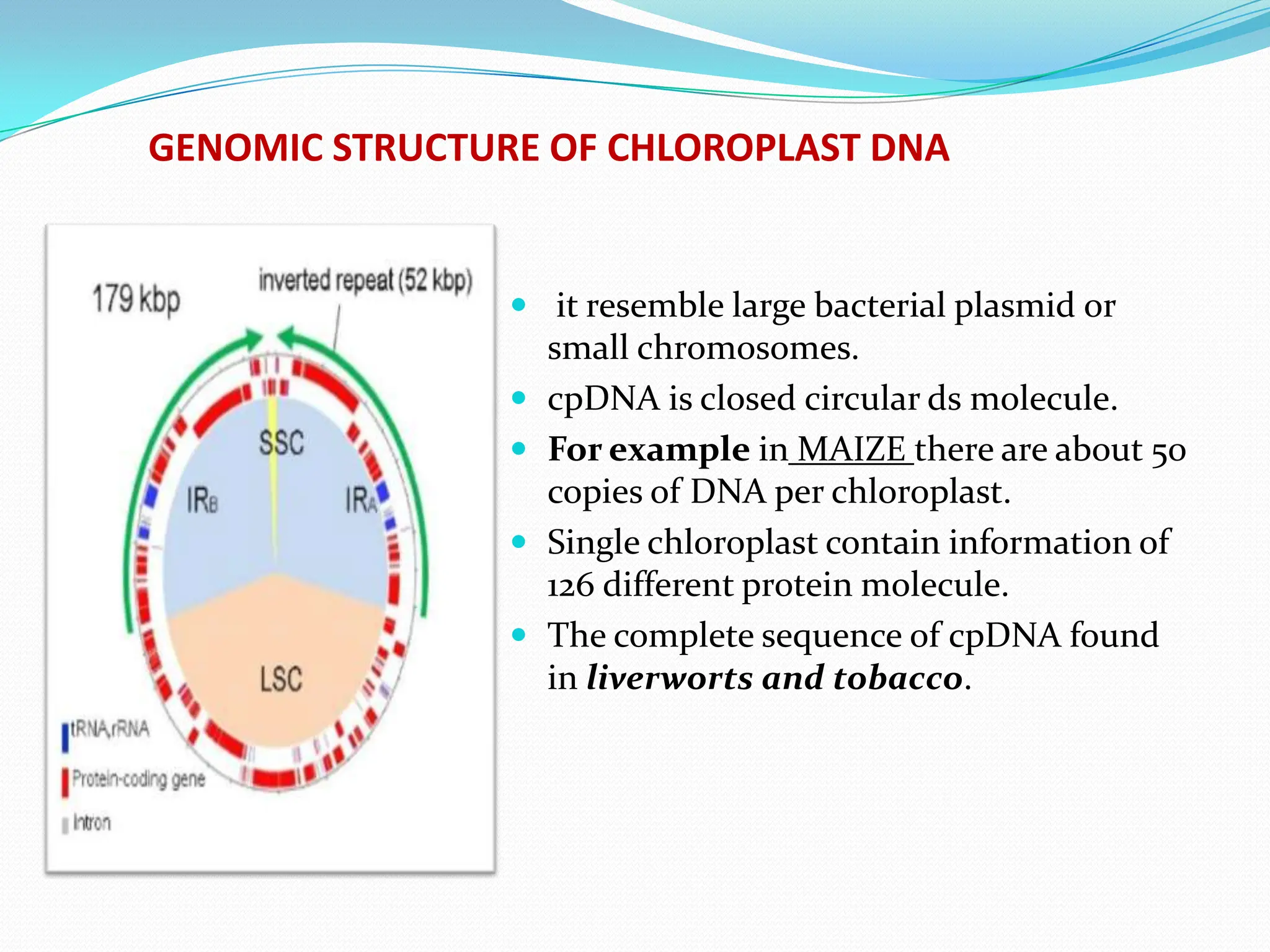 extra-chromosomal-inheritance[1].pptx.pdfpdf | PDF