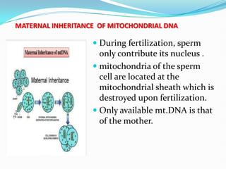 extra-chromosomal-inheritance[1].pptx.pdfpdf | PDF