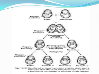 extra-chromosomal-inheritance[1].pptx.pdfpdf | PDF