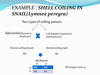 extra-chromosomal-inheritance[1].pptx.pdfpdf | PDF