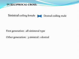 extra-chromosomal-inheritance[1].pptx.pdfpdf | PDF