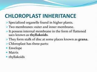 extra-chromosomal-inheritance[1].pptx.pdfpdf | PDF