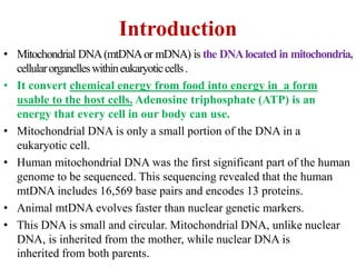 Extra nuclear genome- mitchondrial dna | PPTX