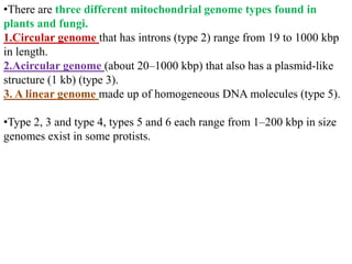 Extra nuclear genome- mitchondrial dna | PPTX