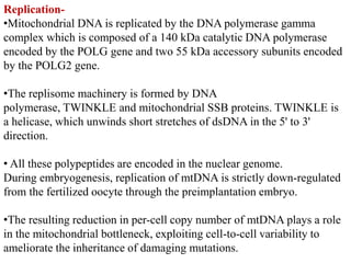 Extra nuclear genome- mitchondrial dna | PPTX