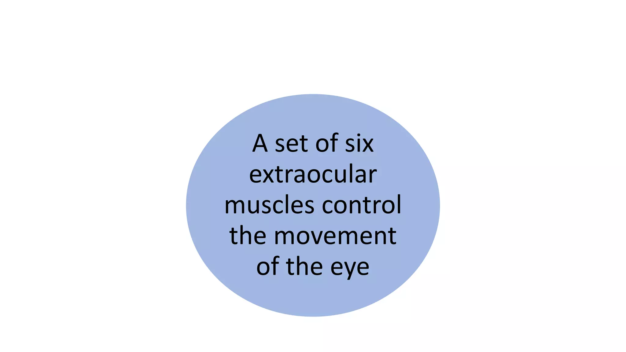 EXTRA-OCULAR MUSCLES.pptx