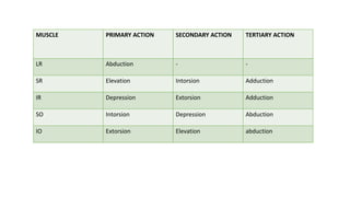 EXTRA-OCULAR MUSCLES.pptx