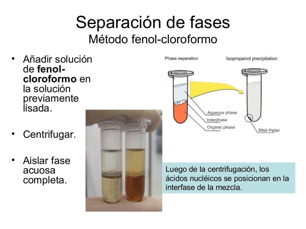 Extracción De Ácidos Nucléicos