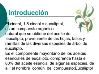 Extracción del cineol | PPTX