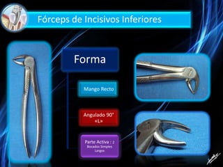 Extracción de Órganos Dentarios Mandibulares | PDF
