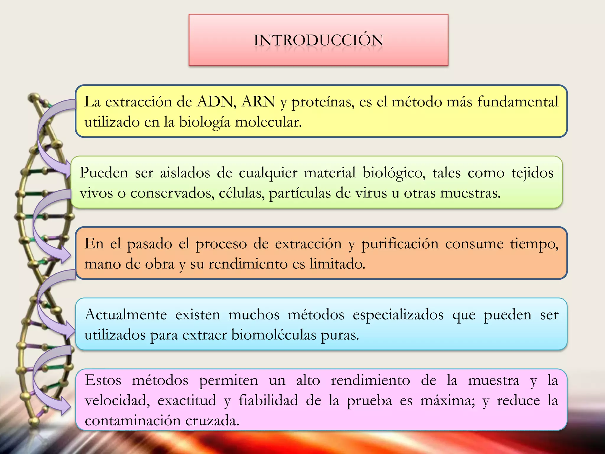 Extraccion de adn arn y proteinas | PPTX