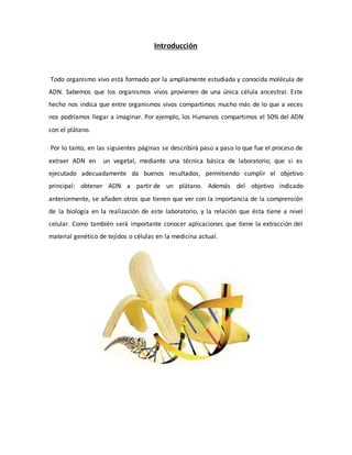 Extraccion del adn de un plátano | DOCX