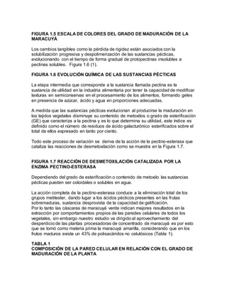 Extraccion de pectina liquida a partir de la cascara de maracuya ...