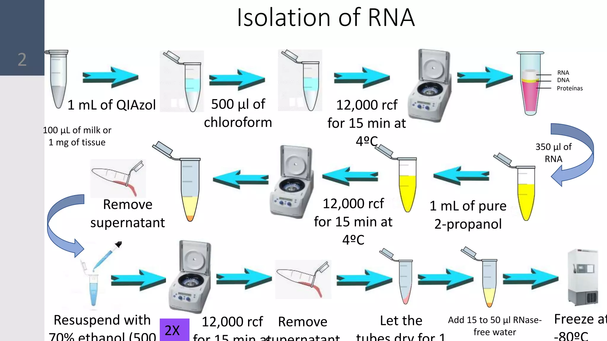 Extracción de RNA.pptx