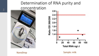 Extracción de RNA.pptx