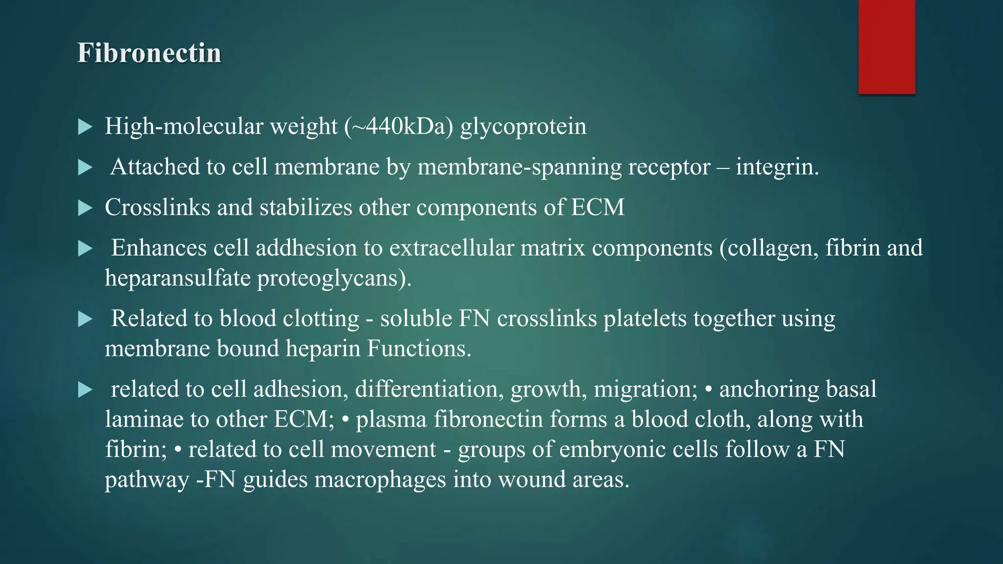 extracellular-matrix_cell_biology_cellpptx | PPTX
