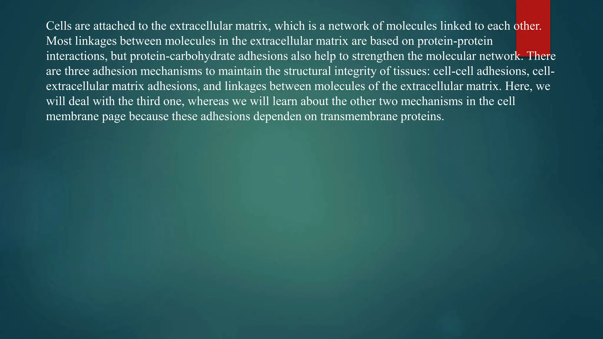 extracellular-matrix_cell_biology_cellpptx | PPTX