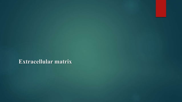 extracellular-matrix_cell_biology_cellpptx | PPTX | Biological Sciences | Science