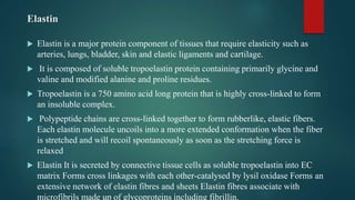 extracellular-matrix_cell_biology_cellpptx | PPTX