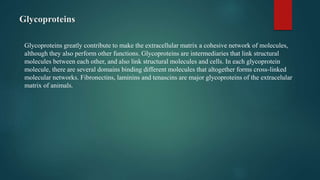 extracellular-matrix_cell_biology_cellpptx | PPTX