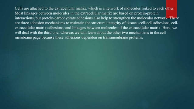 extracellular-matrix_cell_biology_cellpptx | PPTX | Biological Sciences | Science