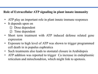 Extracellular ATP as a central signaling molecule in plant stress ...