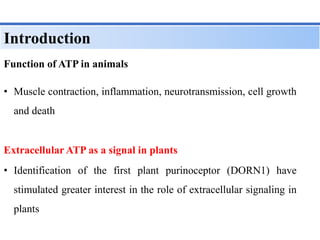 Extracellular ATP as a central signaling molecule in plant stress ...