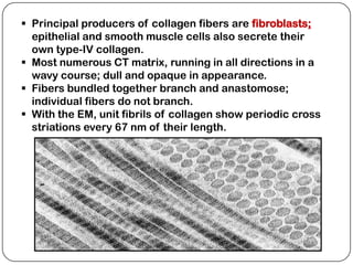 Extracellular matrix | PPTX