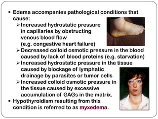 Extracellular matrix | PPTX