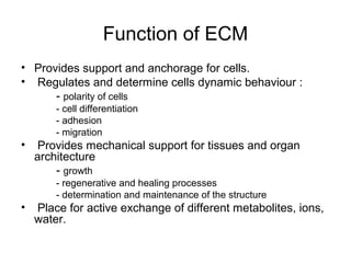 Extracellular matrix | PPT