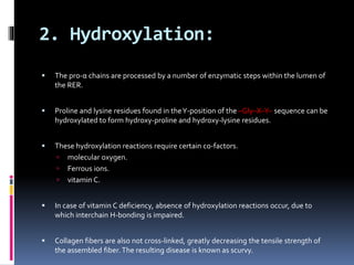 Extracellular matrix and GAGS | PPTX