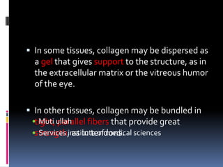 Extracellular matrix and GAGS | PPTX